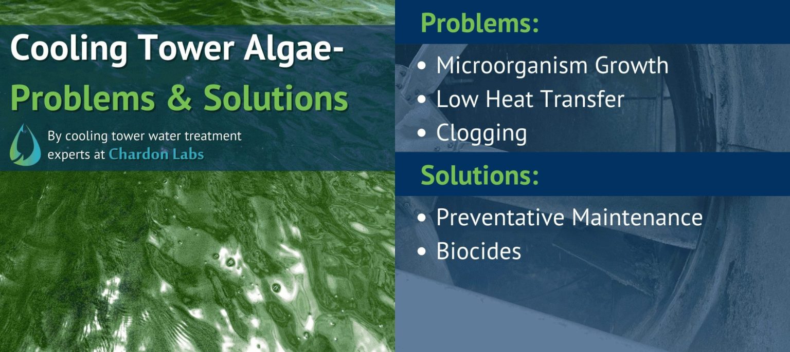 Cooling Tower Algae- Problems & Solutions - Chardon Labs