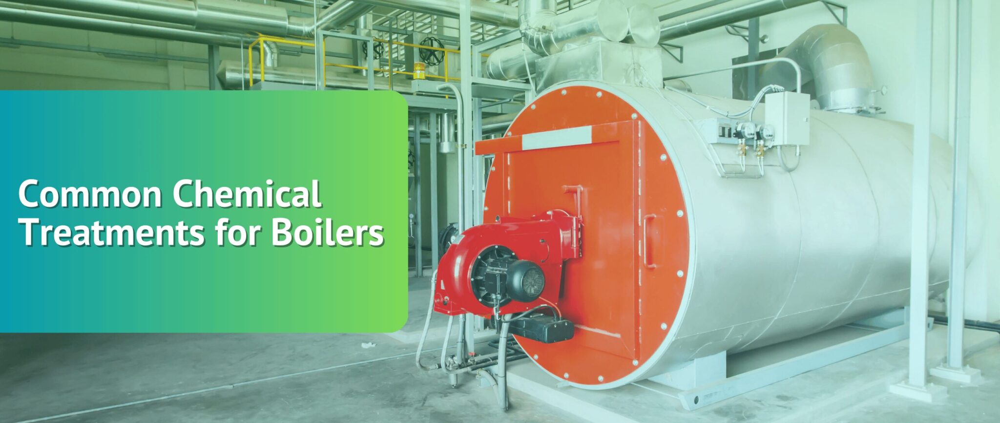 Food Grade Boiler Chemical Water Treatment | FDA & NSF Safe